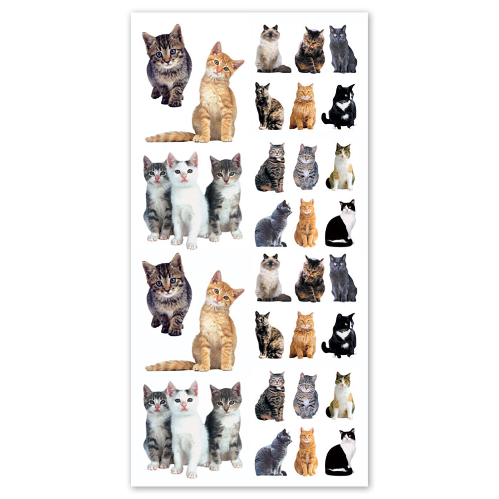 Cats Stickers, Cat Faces & Kittens | Sticker Planet
