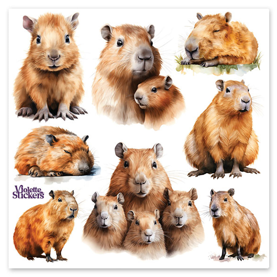 Frog and Capybara Stickers – Sticker Planet