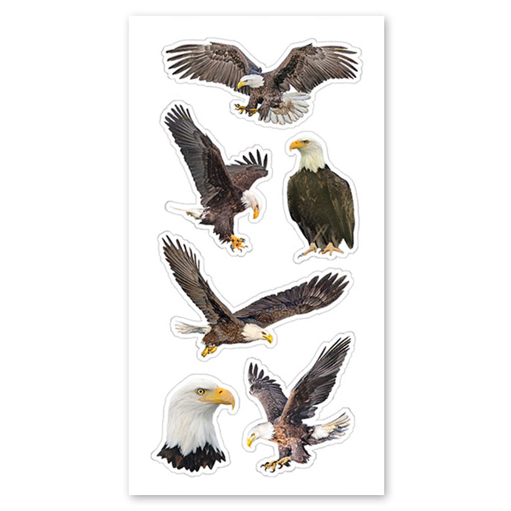 Eagles Stickers – Sticker Planet
