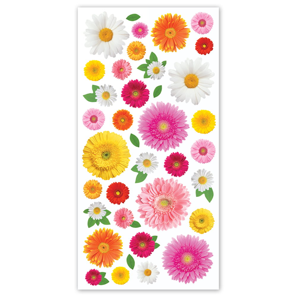 Gerbera Daisies Stickers - Packaged – Sticker Planet