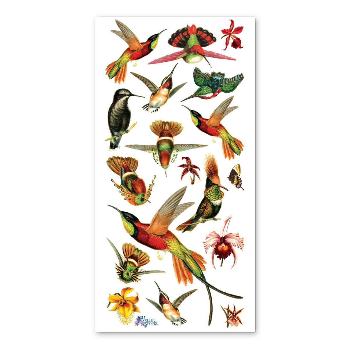 Hummingbirds Stickers – Sticker Planet