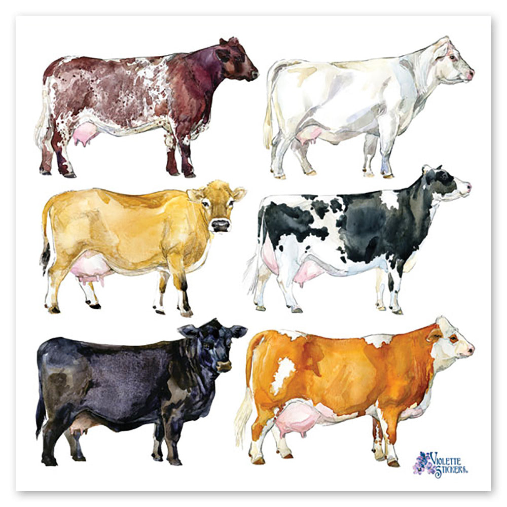 Cows Stickers – Sticker Planet