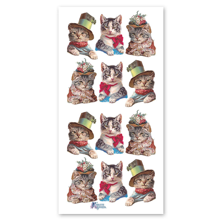 Cats Stickers, Cat Faces & Kittens | Sticker Planet