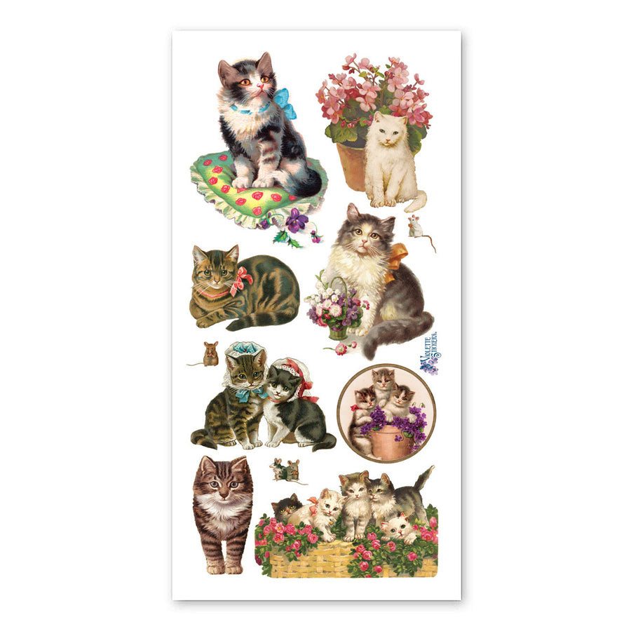 Cats Stickers, Cat Faces & Kittens | Sticker Planet