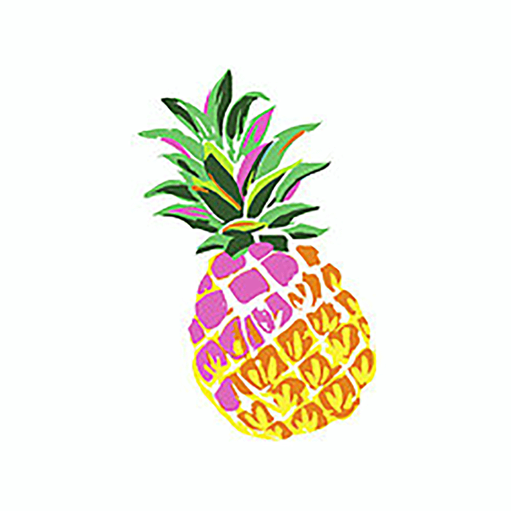 Pink & Yellow Pineapple Vinyl Sticker Decal – Sticker Planet
