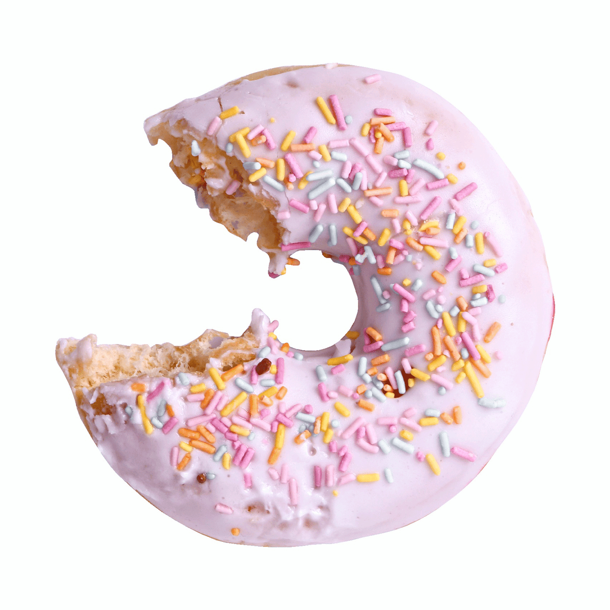 Donut Vinyl Sticker Decal – Sticker Planet