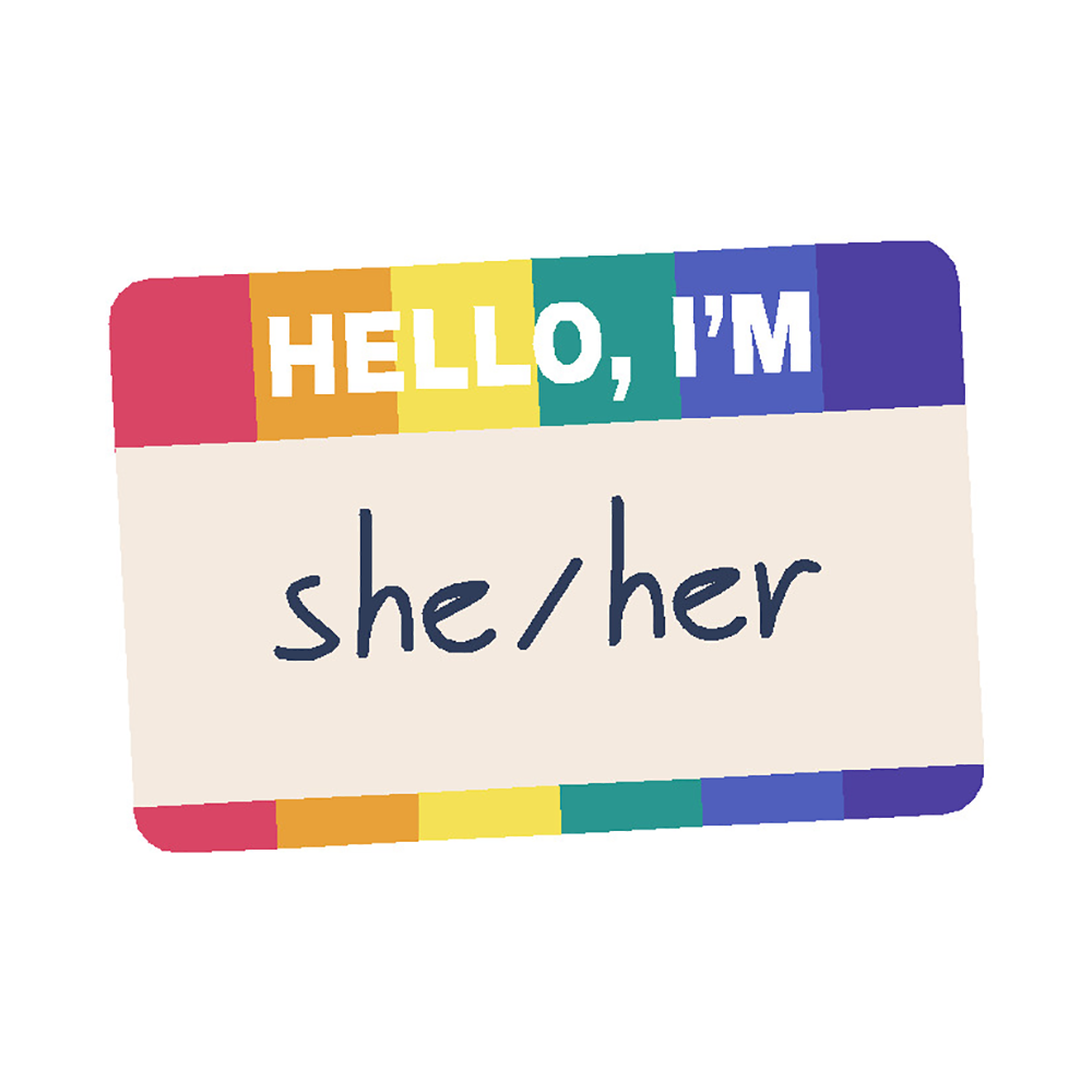 She/Her Vinyl Sticker Decal – Sticker Planet